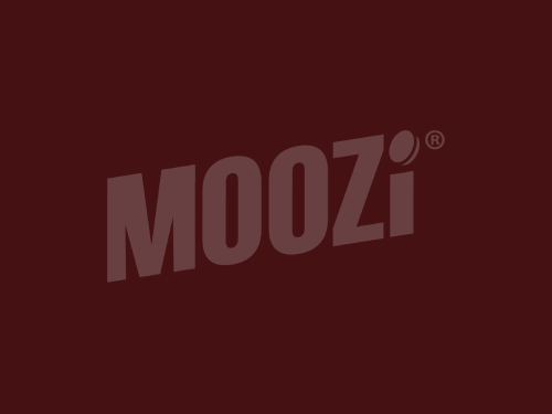 Moozi: America's Gateway to Social Casino Thrills